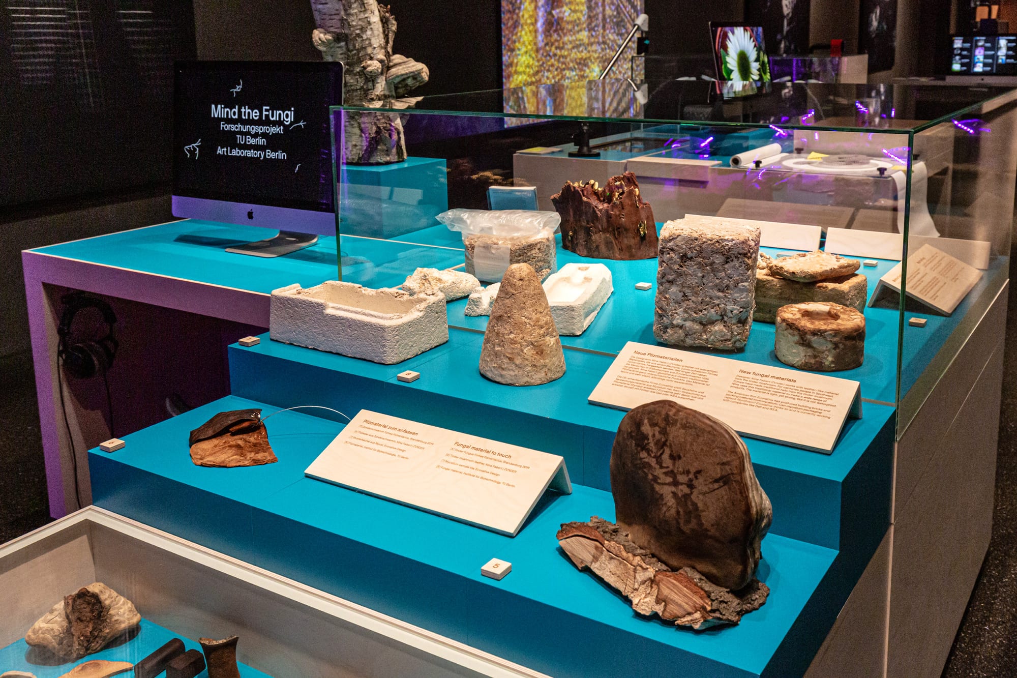 Mind the Fungi - Art Laboratory Berlin